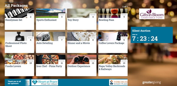 Display bidding and donation activity at Your Fundraising Event