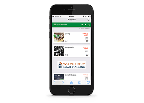 Auction Games - Fundraising Game Ideas for Charity Events